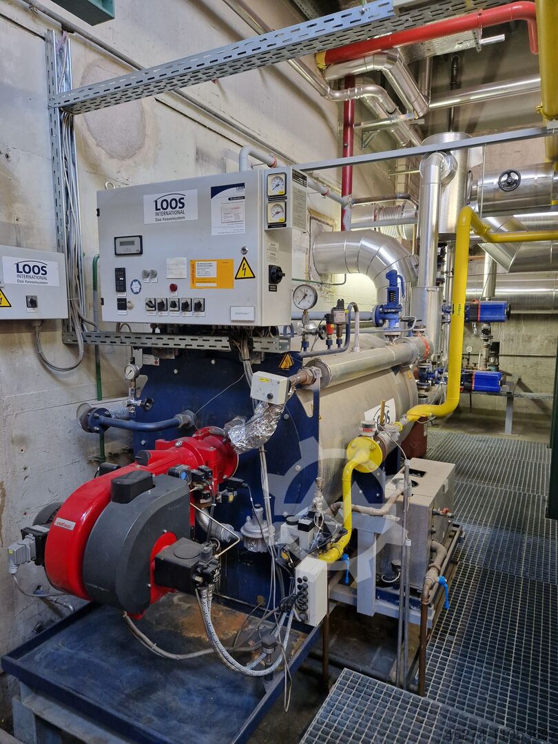 Loos DF1000 - used Quick steam unit for sale